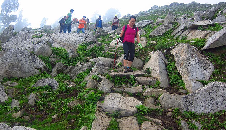 Explore the Triund Trek: Distance, Height, and Tips