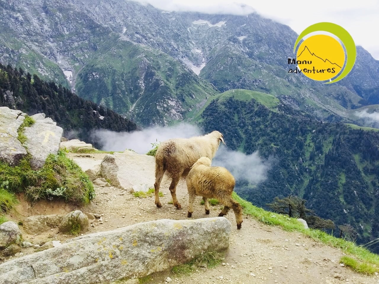 Lam Dal Lake Trek - | 2024 | Manu Adventures India