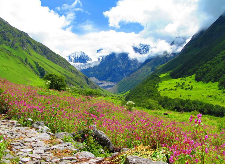 Discover the Stunning Valley of Flowers Trek Adventure