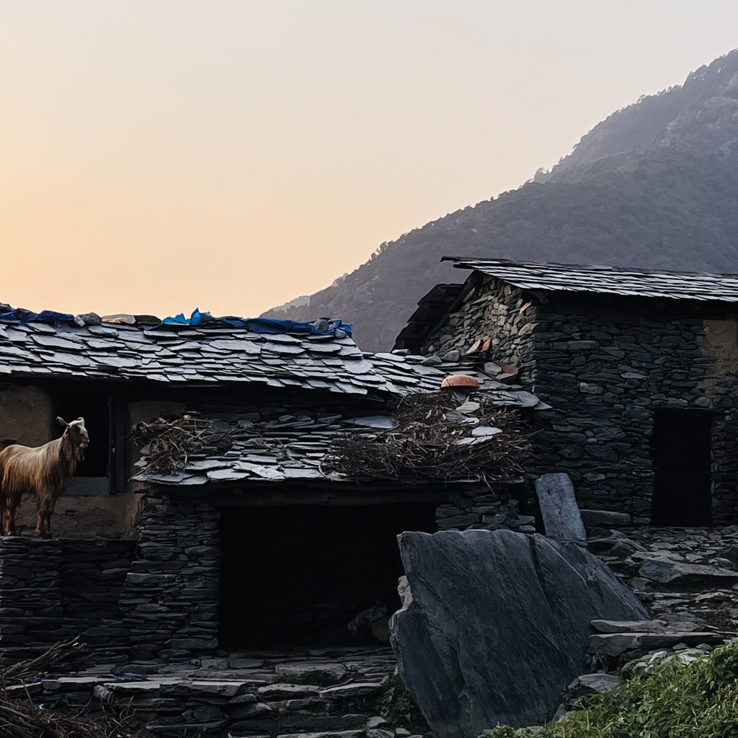 Explore the Triund Trek: Distance, Height, and Tips